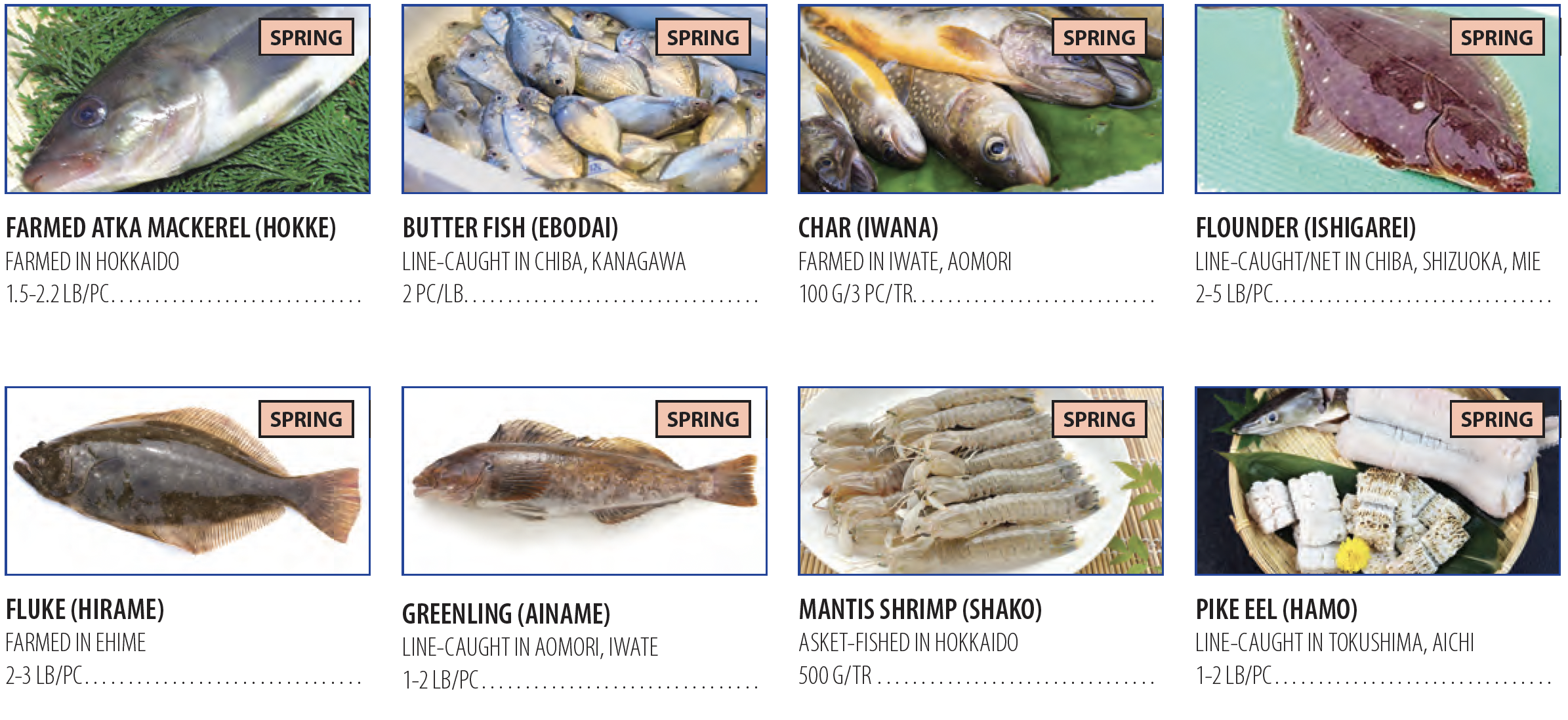 Japan Fish Express